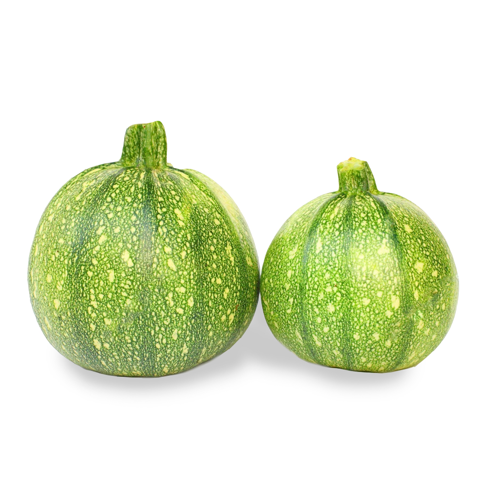 Pequeña Calabaza Verde Enredadera En Crecimiento